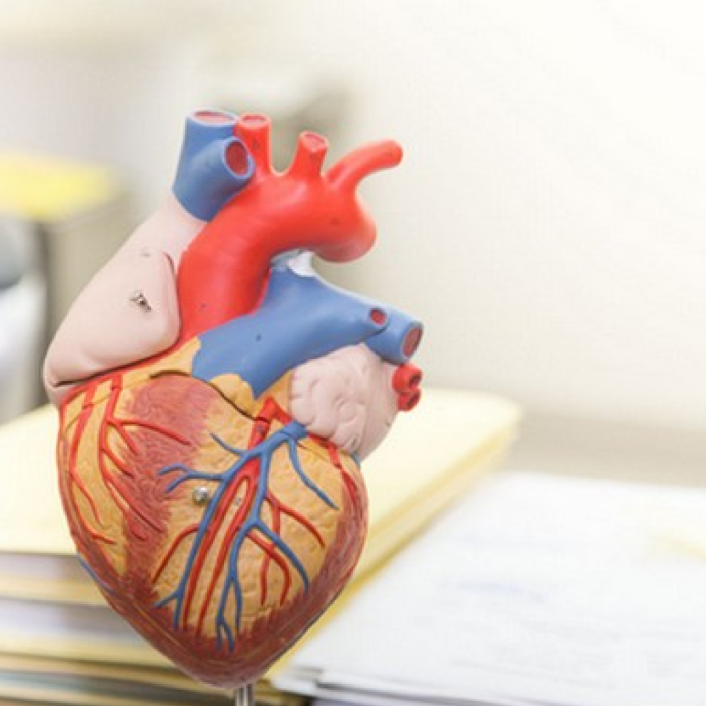 Best Cardiac Surgeon in Mulund | Aditi Hospital